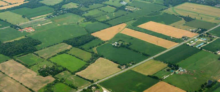 How Big Are Two Hundred Acres of Land? (With Helpful Visuals)